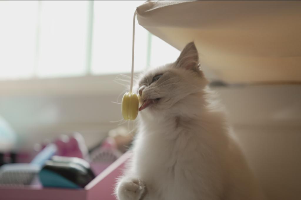 Xbat S1 動能獵取夜跑燈 / 自發電逗貓玩具 - Xbat